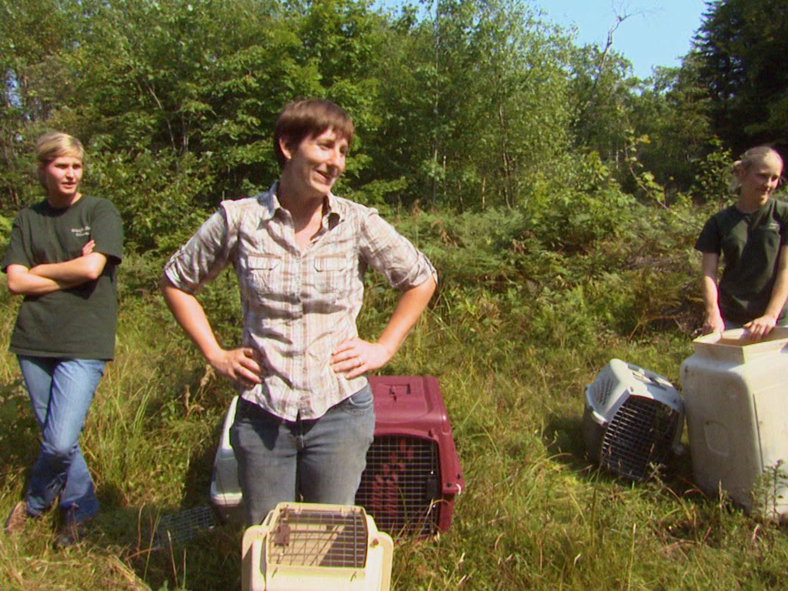 Prime Video: Hope for Wildlife - Season 1