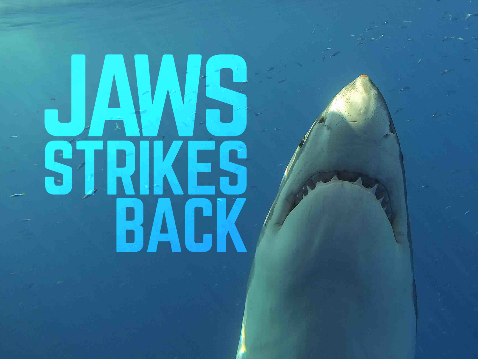 Prime Video: Jaws Strikes Back - Season 1
