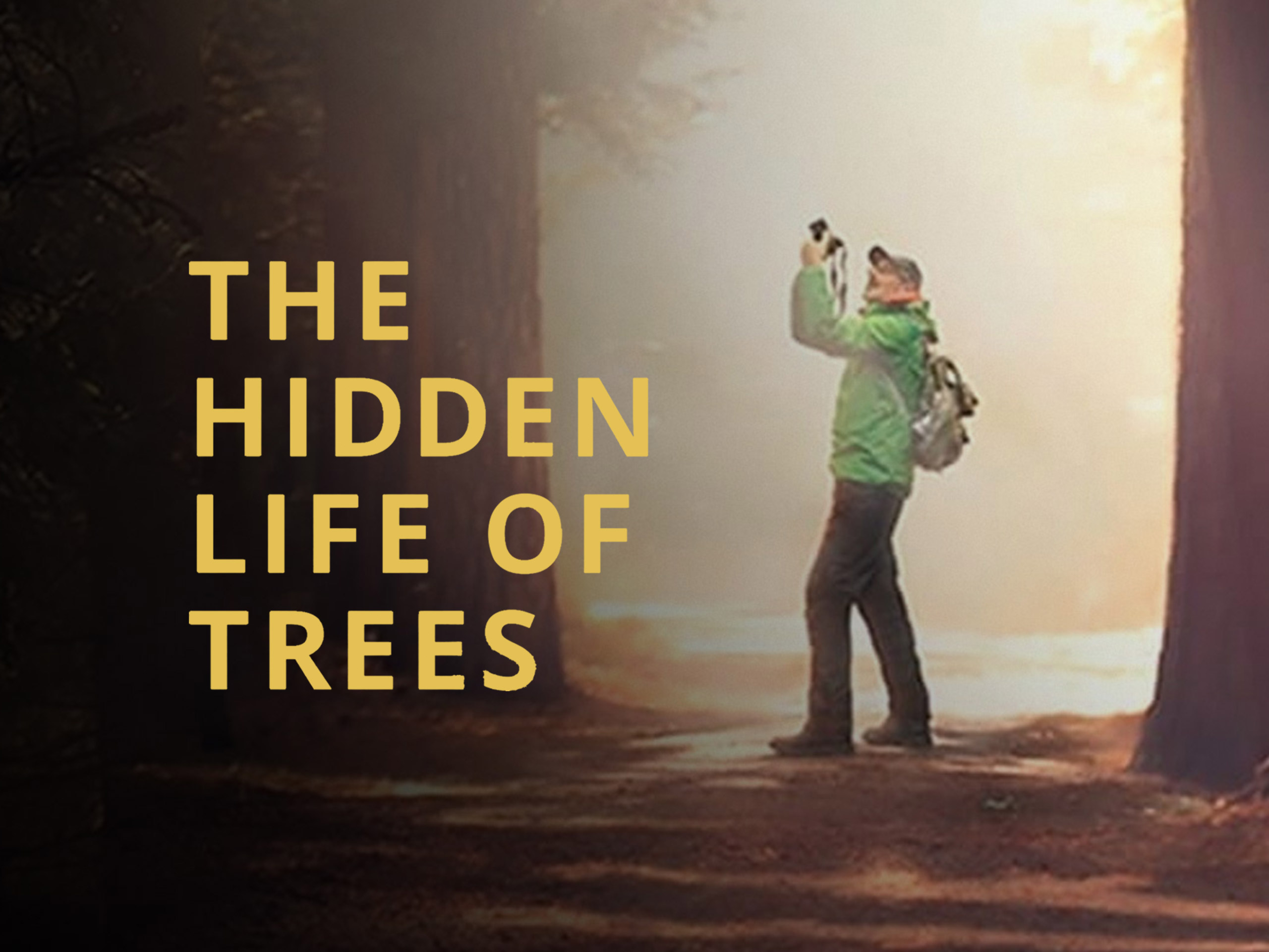 Prime Video: The Hidden Life of Trees