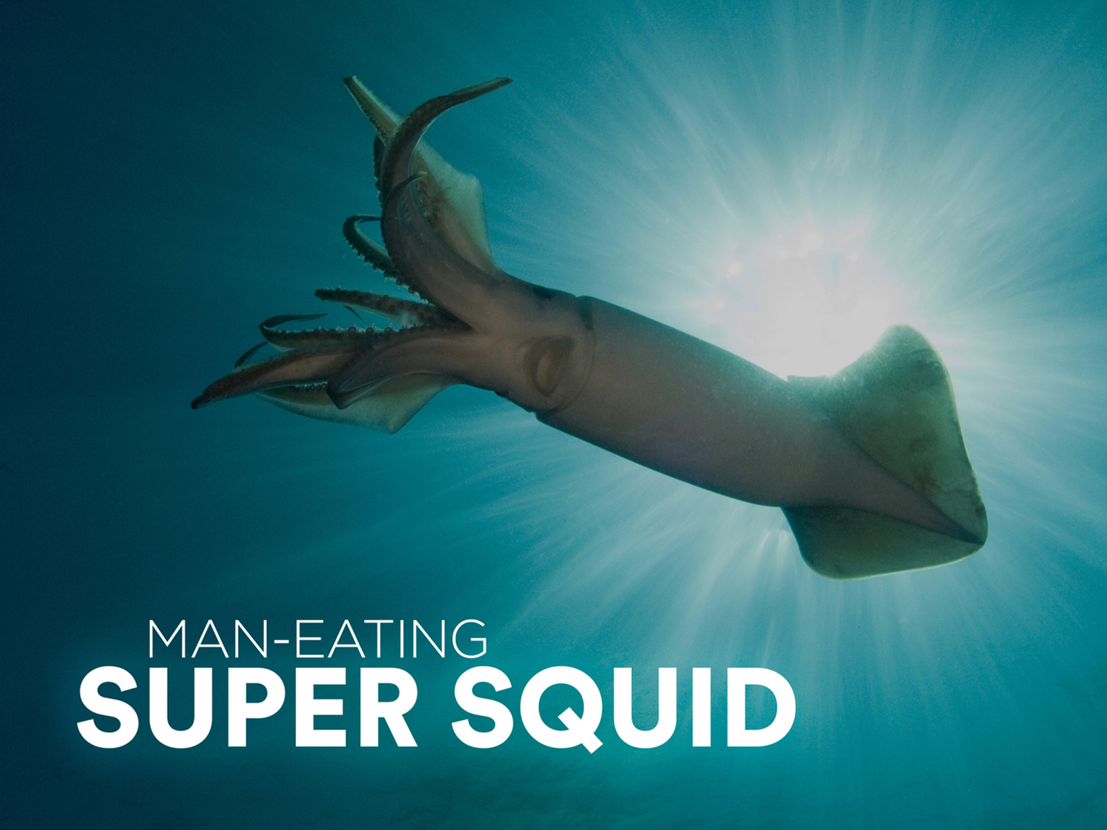 Prime Video: Man-Eating Super Squid - Season 1