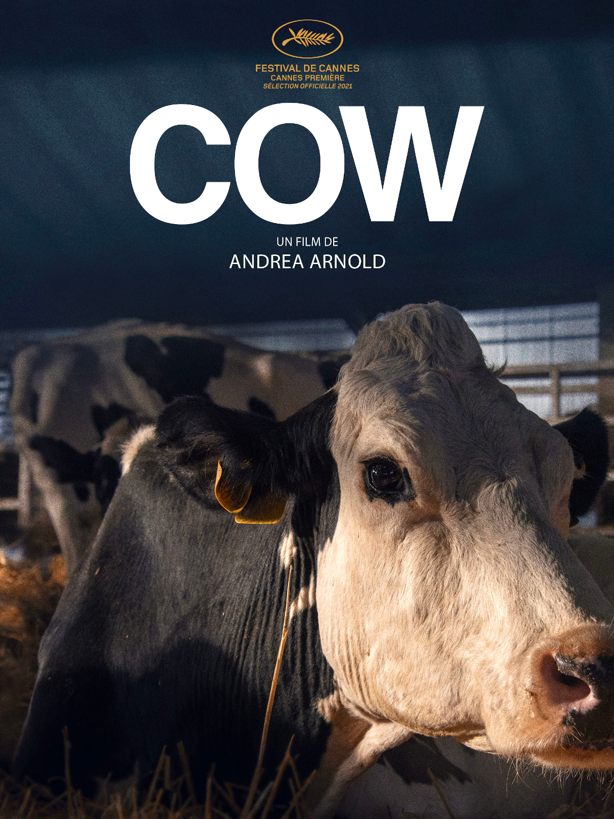 Prime Video: Cow
