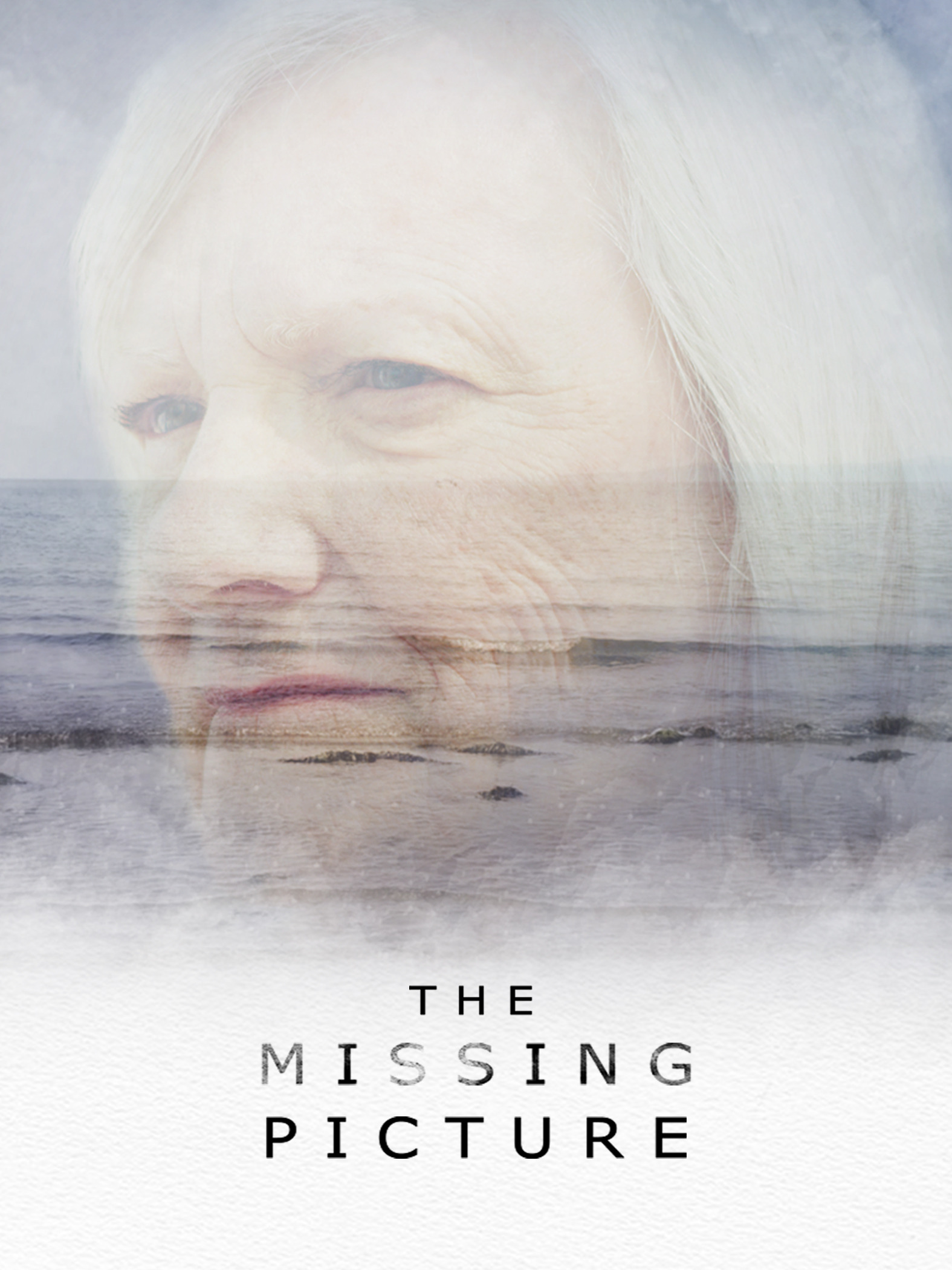 Prime Video: The Missing Picture