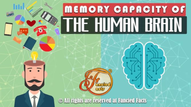 Human Memory Capacity
