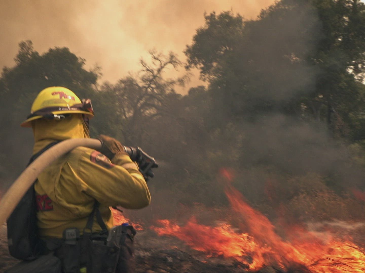 Prime Video: Cal Fire - Season 1