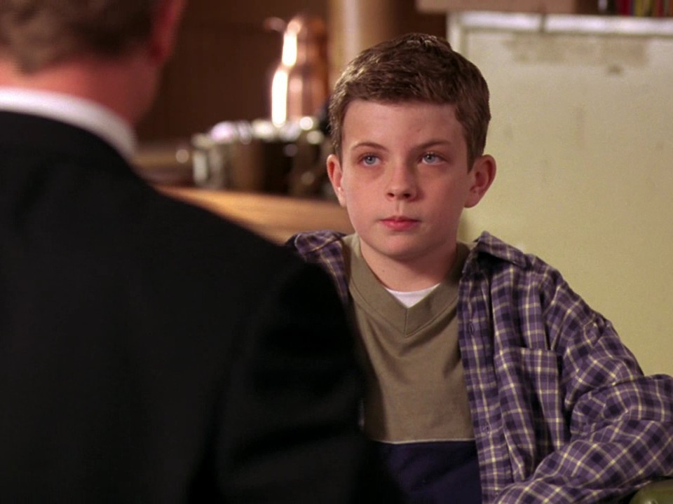 Prime Video: The Guardian Season 1