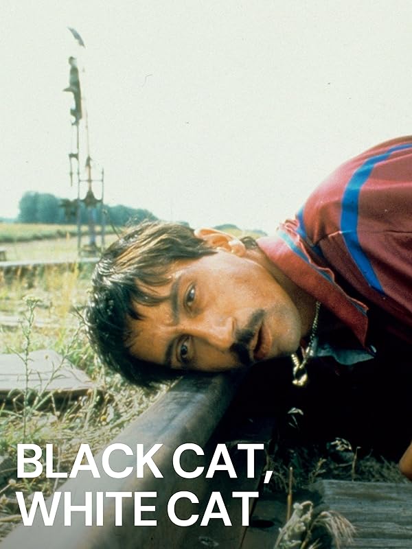 Prime Video: Black Cat, White Cat