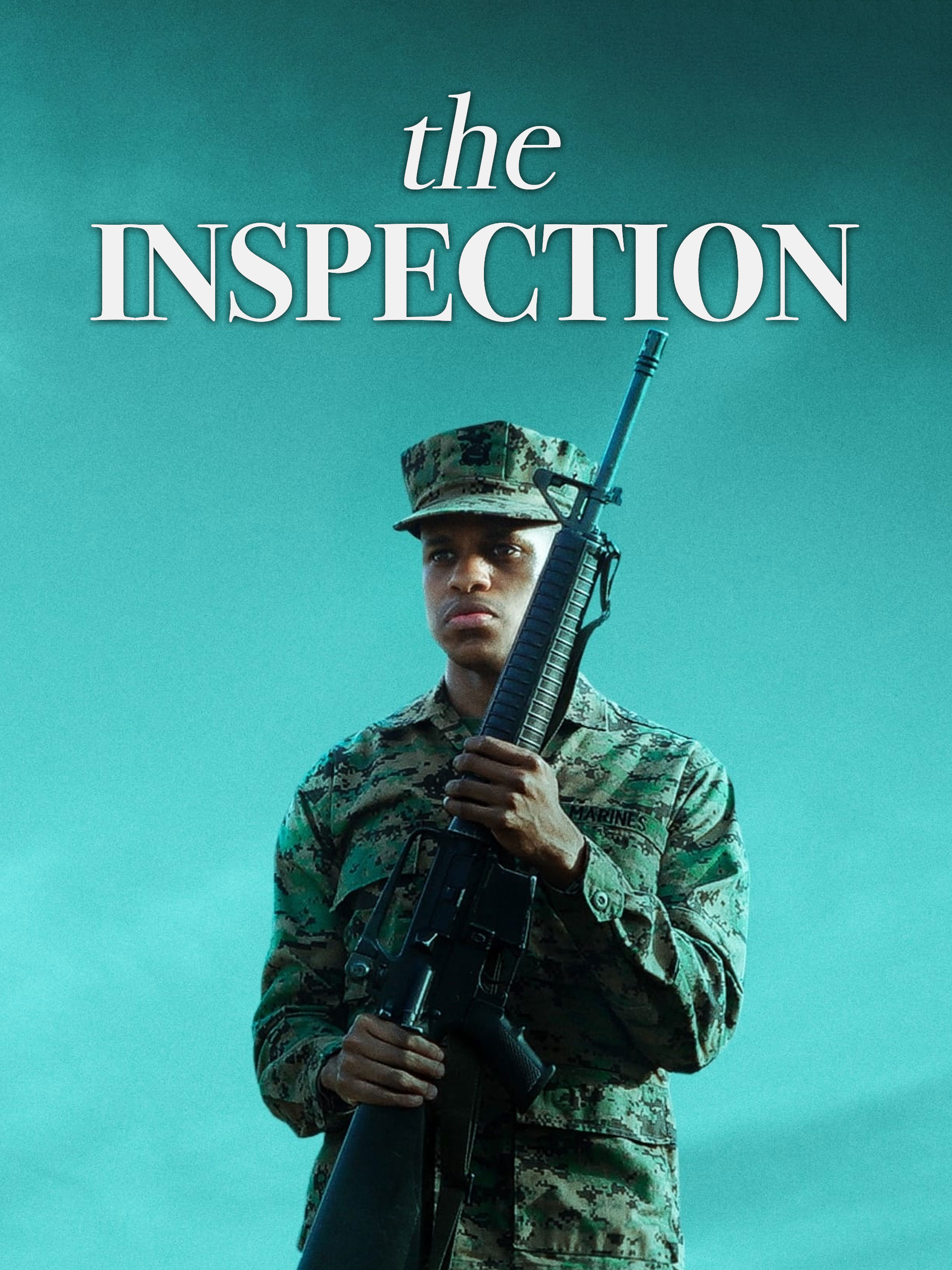 Prime Video: The Inspection