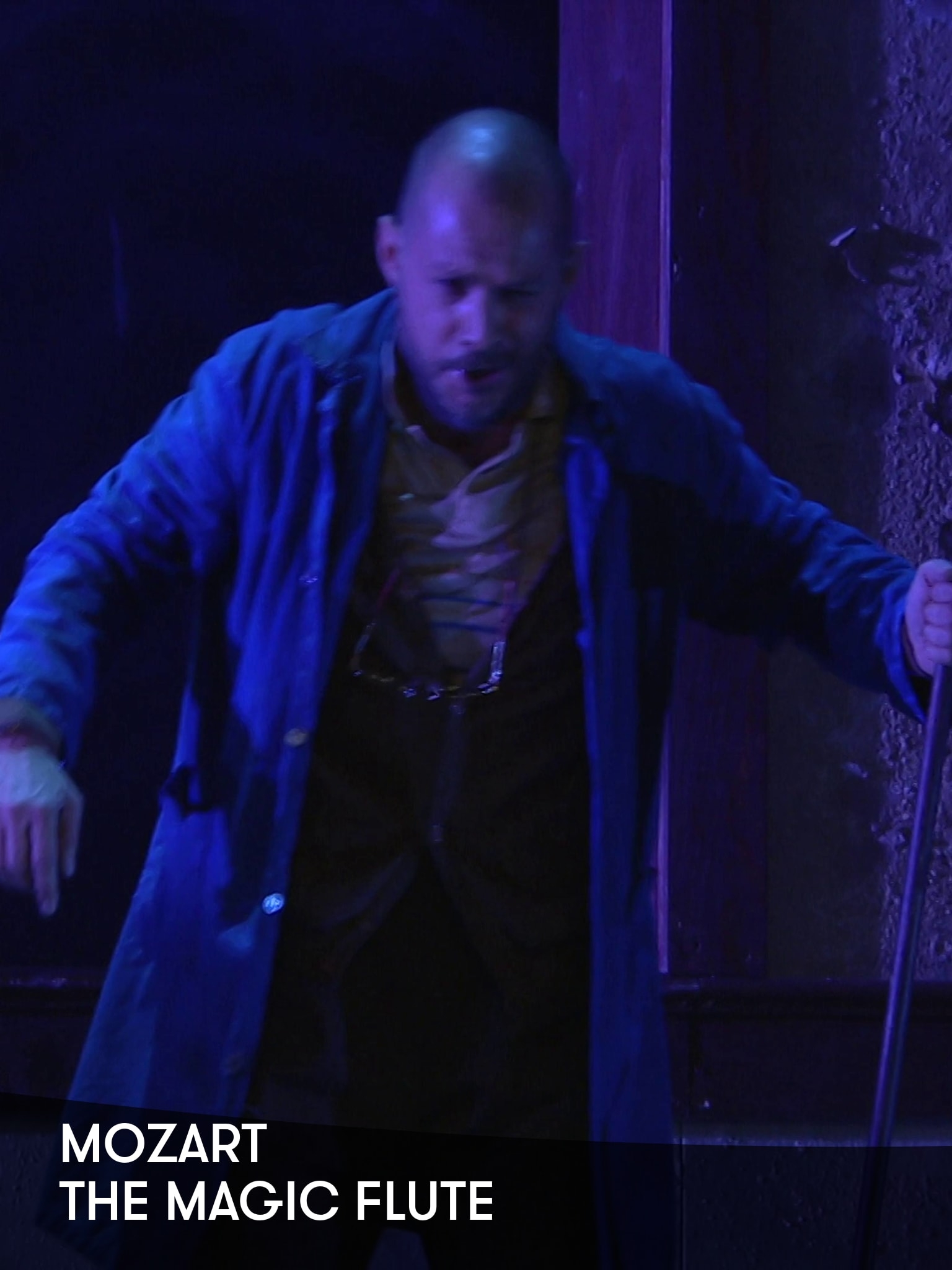 Prime Video: Mozart - The Magic Flute