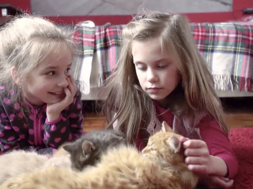 Prime Video: The Cute Ones - Season 1