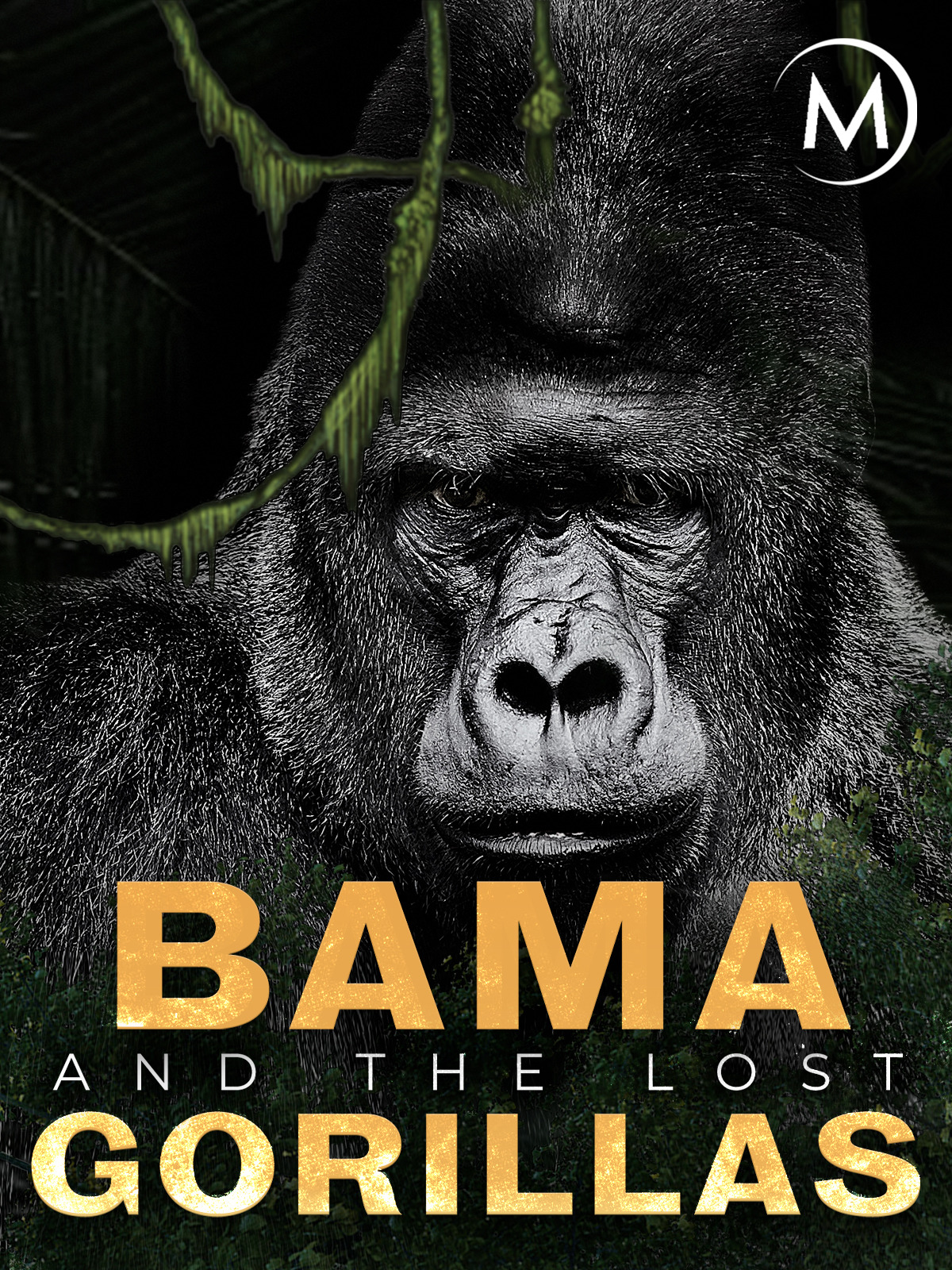 Prime Video: Bama and the Lost Gorillas