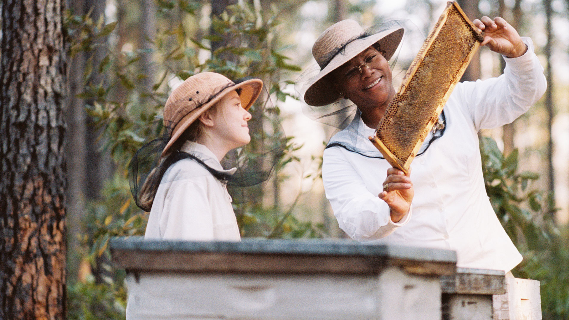 Watch The Secret Life Of Bees | Prime Video