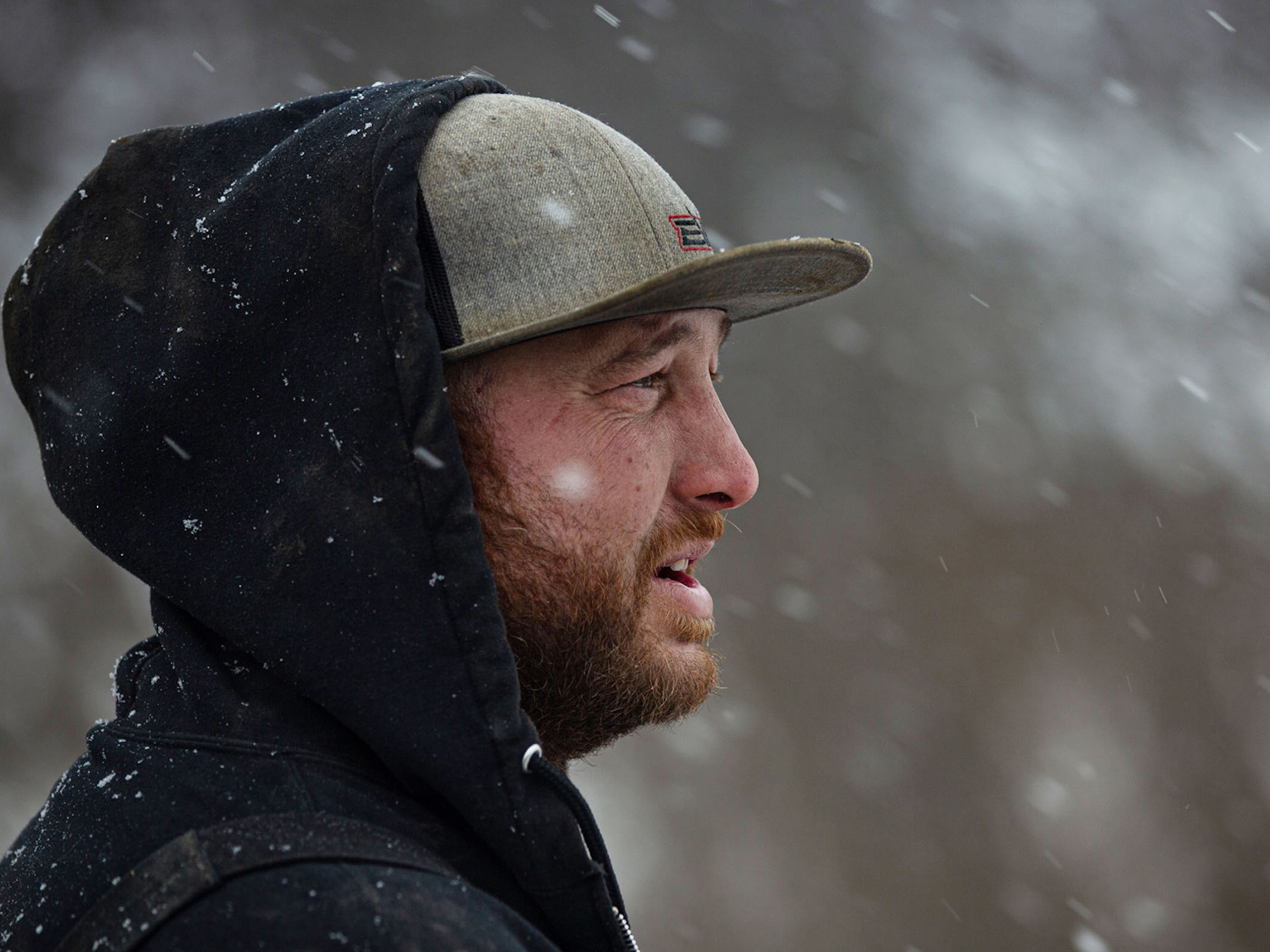 Prime Video: Gold Rush - Season 12