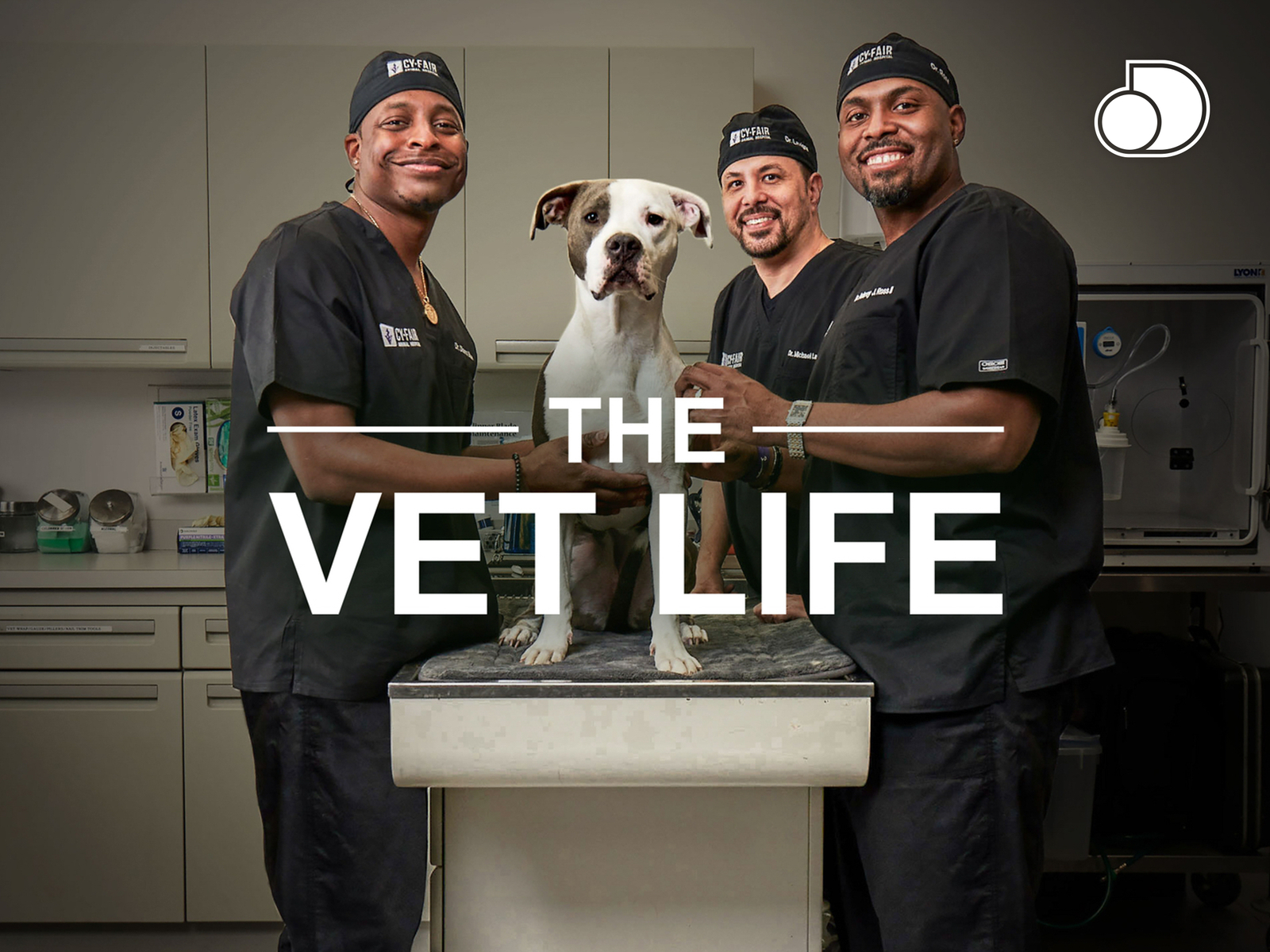 Prime Video: The Vet Life: Specials - Season 1