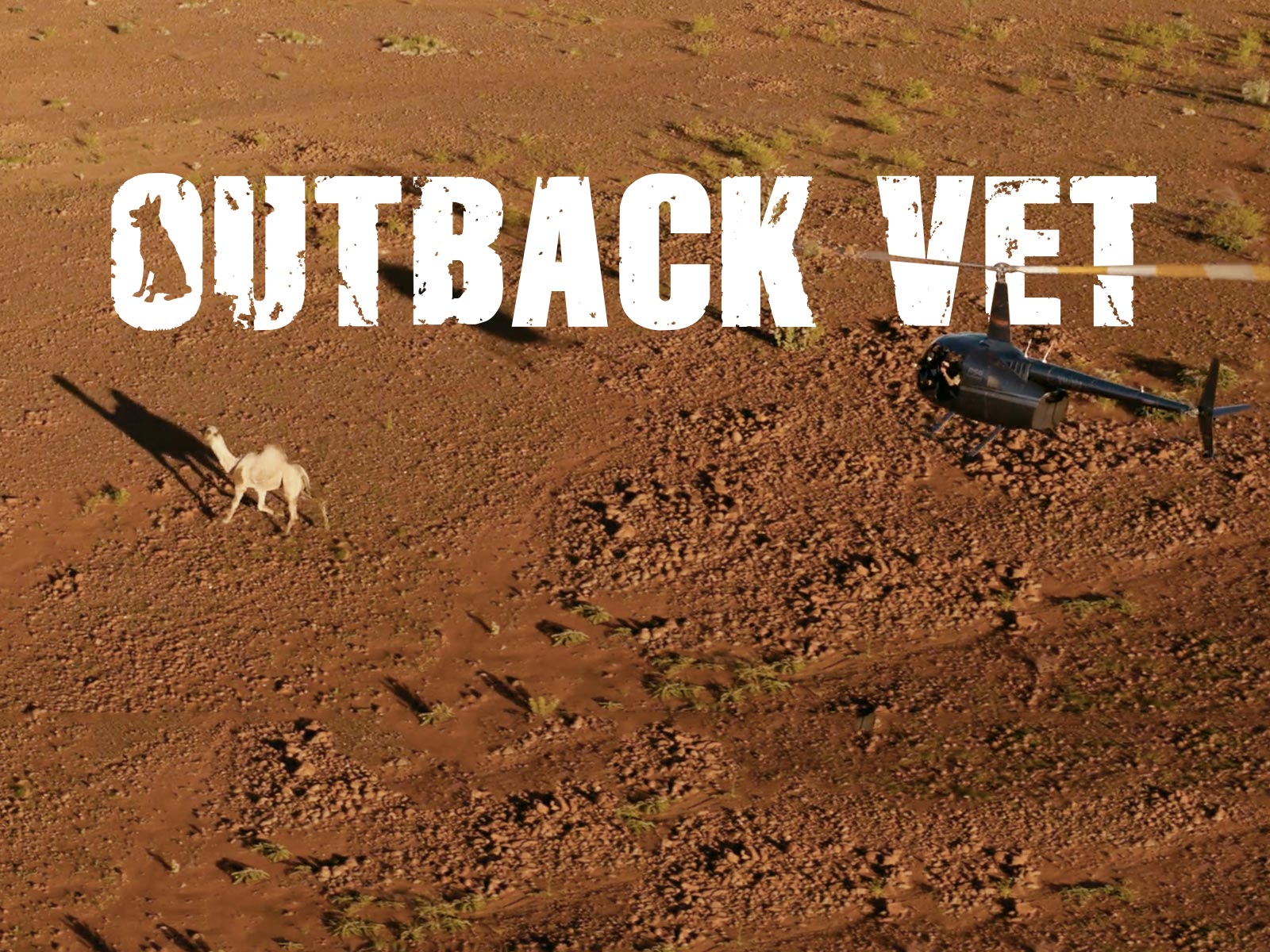 Prime Video: Outback Vet - Season 1