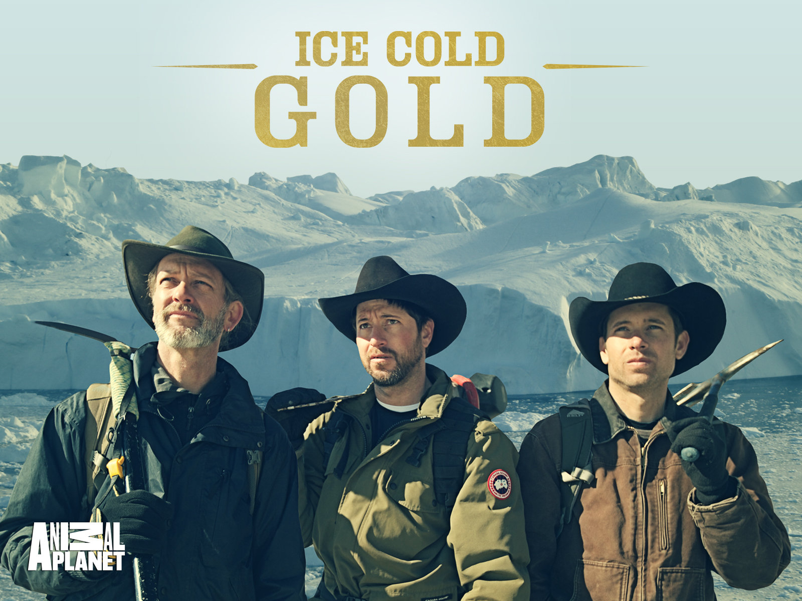 Ice Cold Gold Rubies