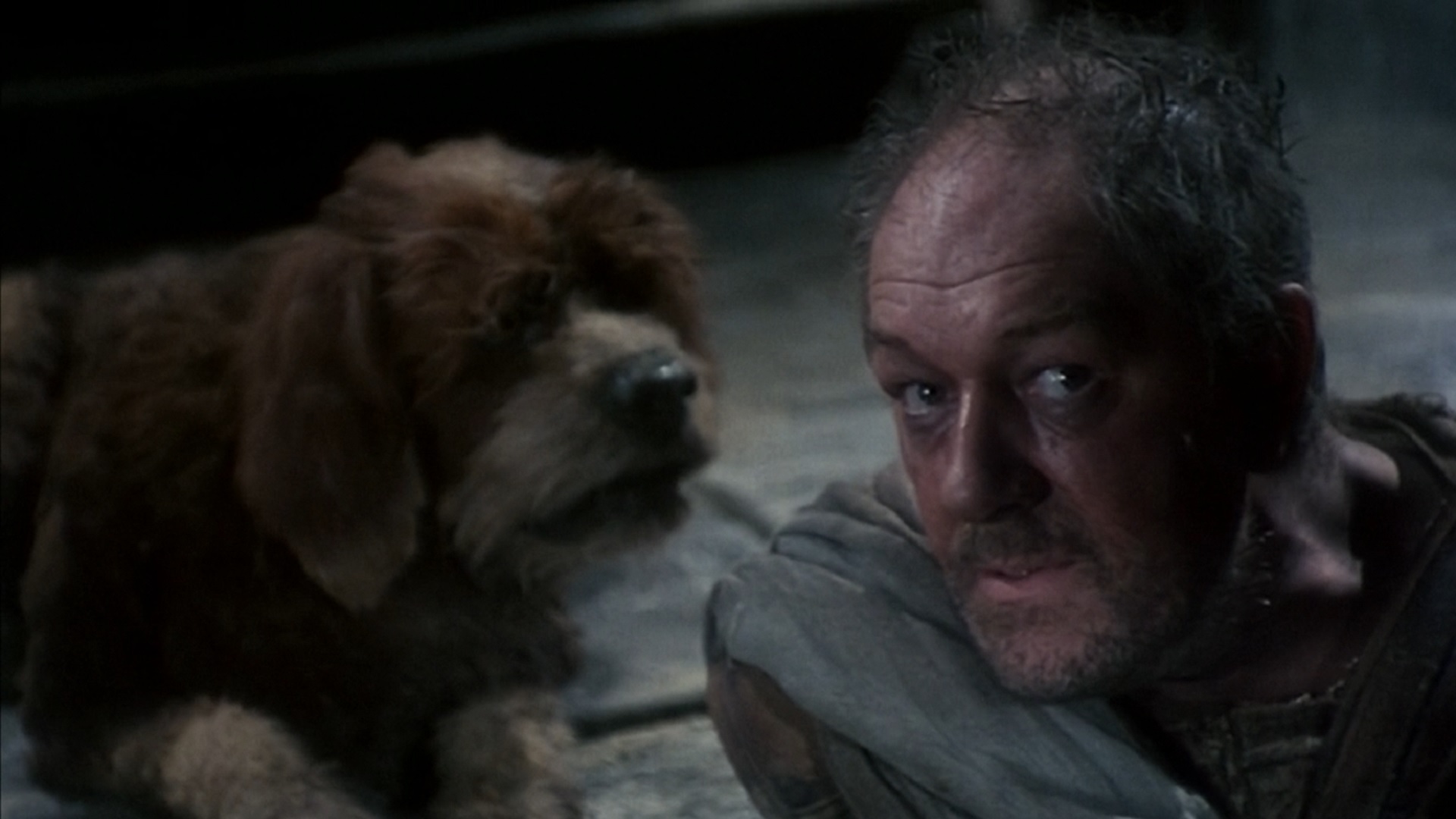 Watch Jim Henson's The Storyteller: Greek Myths | Prime Video