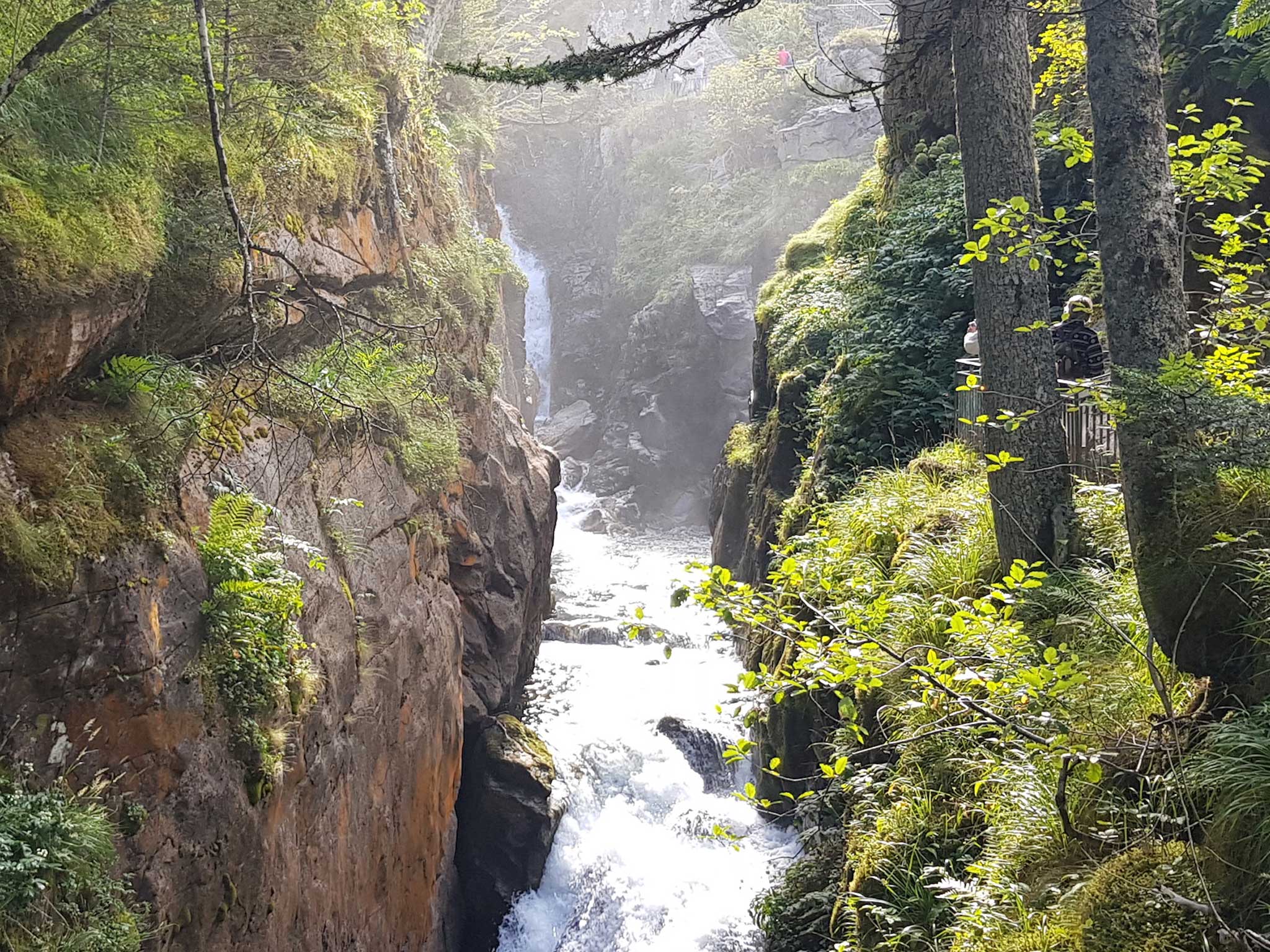 Prime Video: The Wild Beauty of the Pyrenees