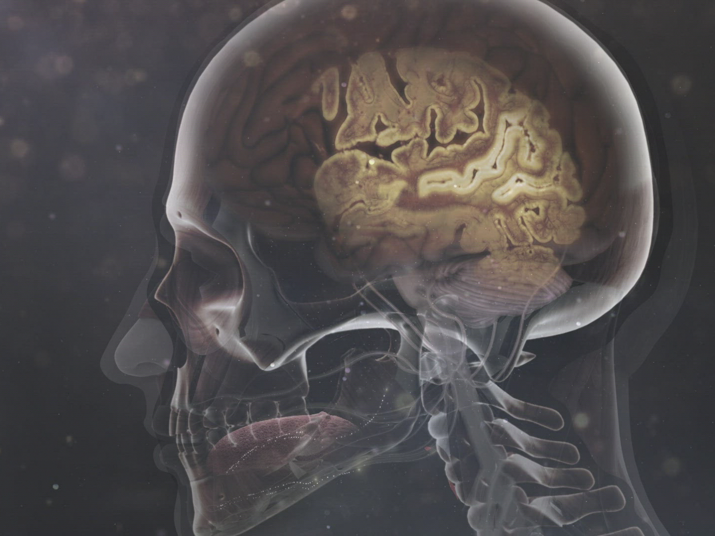 Prime Video: Food - Delicious Science - Season 1