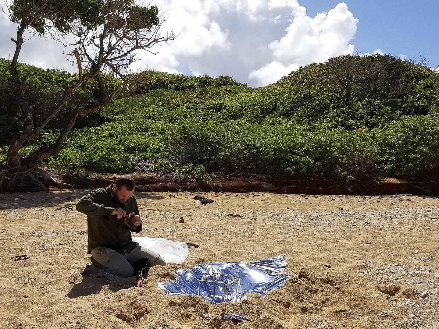 Prime Video: Hacking The Wild - Season 1