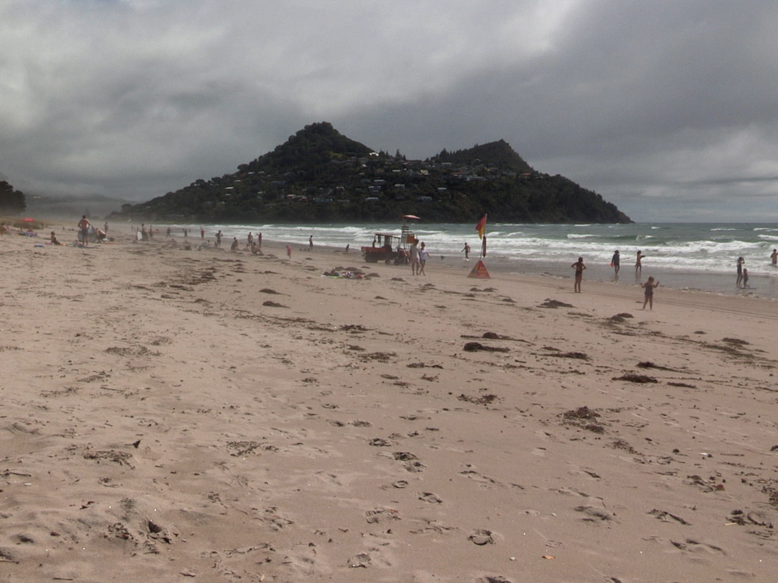 Prime Video: Shark Man with Riley Elliott