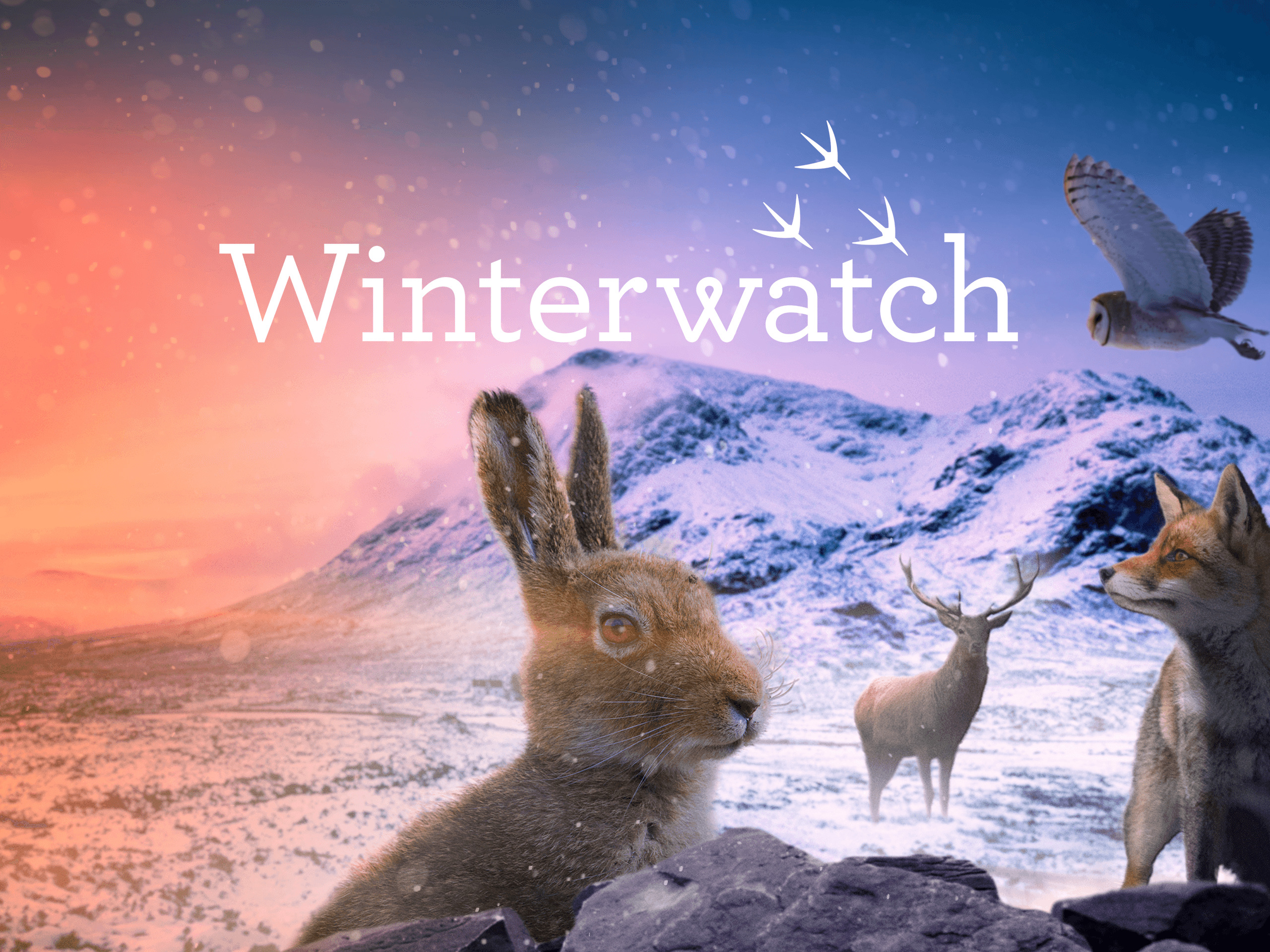 Prime Video: Winterwatch, 2021