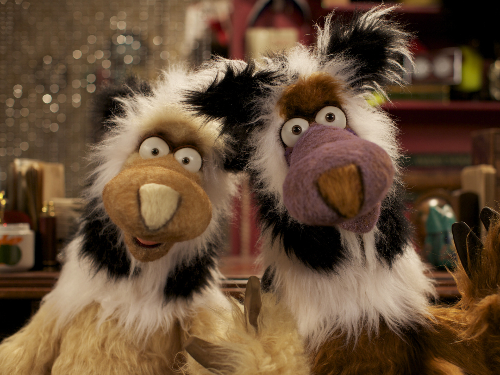 Prime Video: Nuzzle & Scratch - Frock n Roll