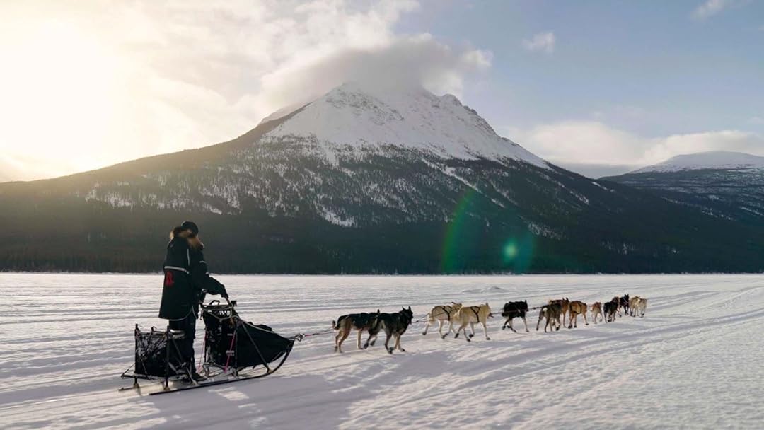Prime Video: Musher, l'appel de l'Alaska - Saison 1