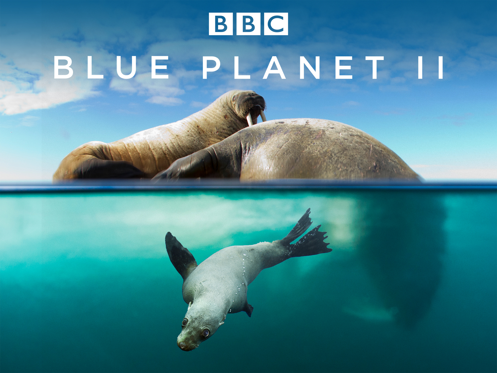 Prime Video: Blue Planet II - Season 1