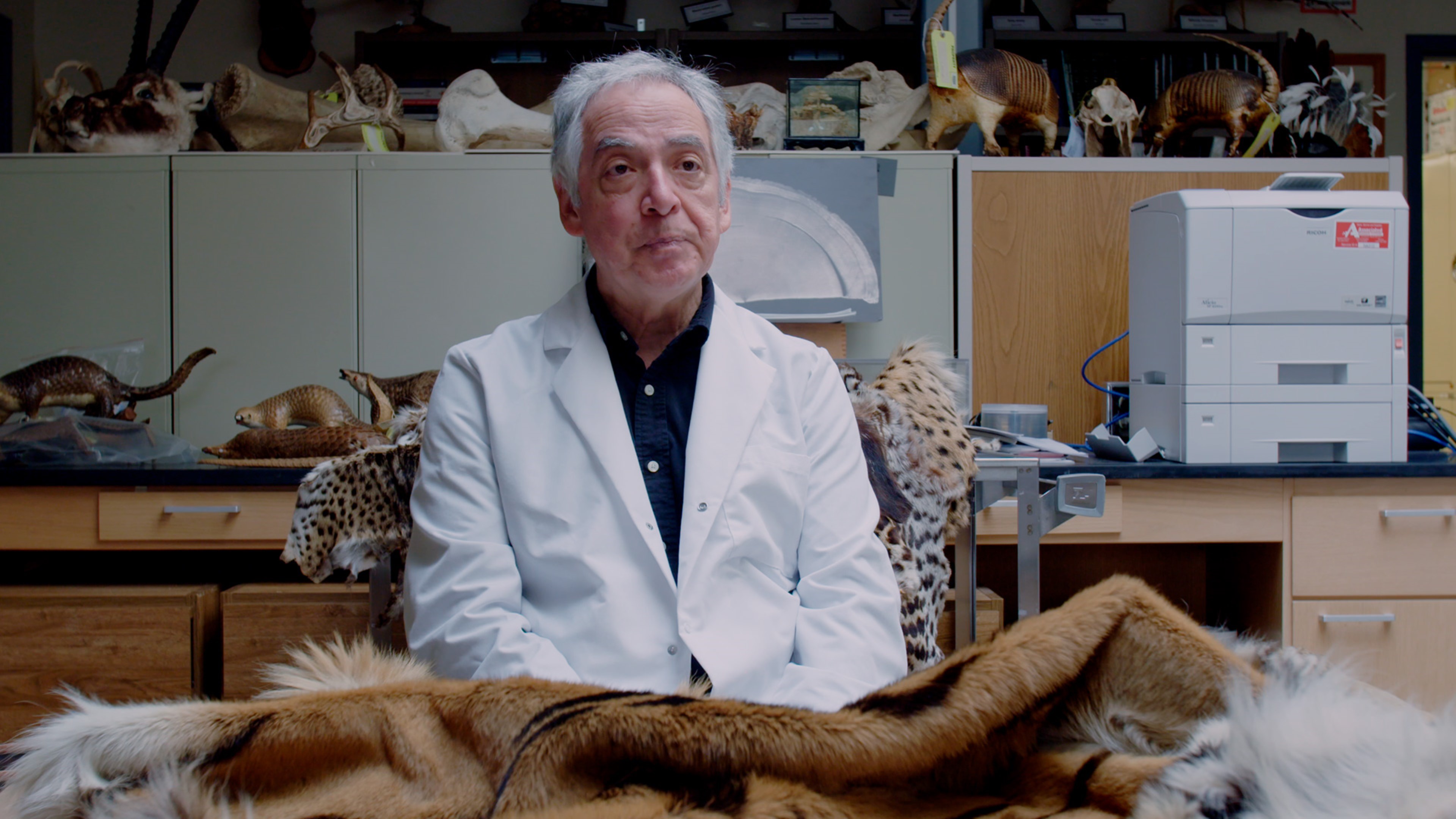 Prime Video: Illicit Trade