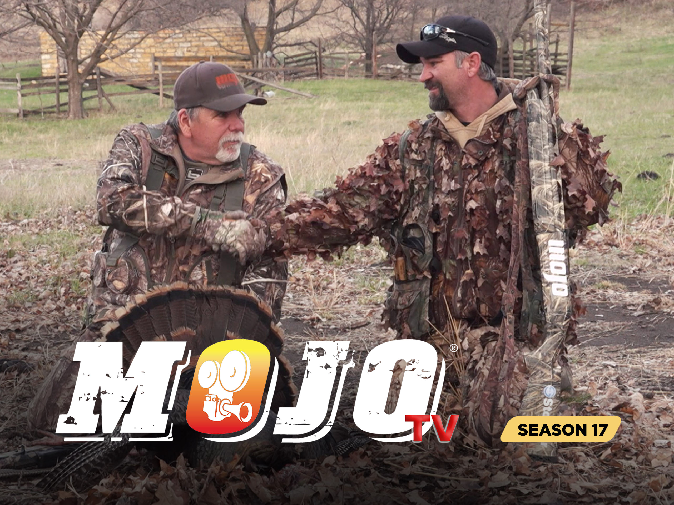 Prime Video: Mojo TV - Season 17