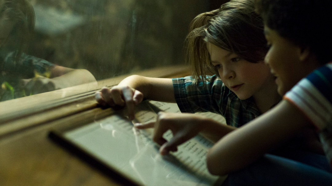 Watch Wonderstruck | Prime Video