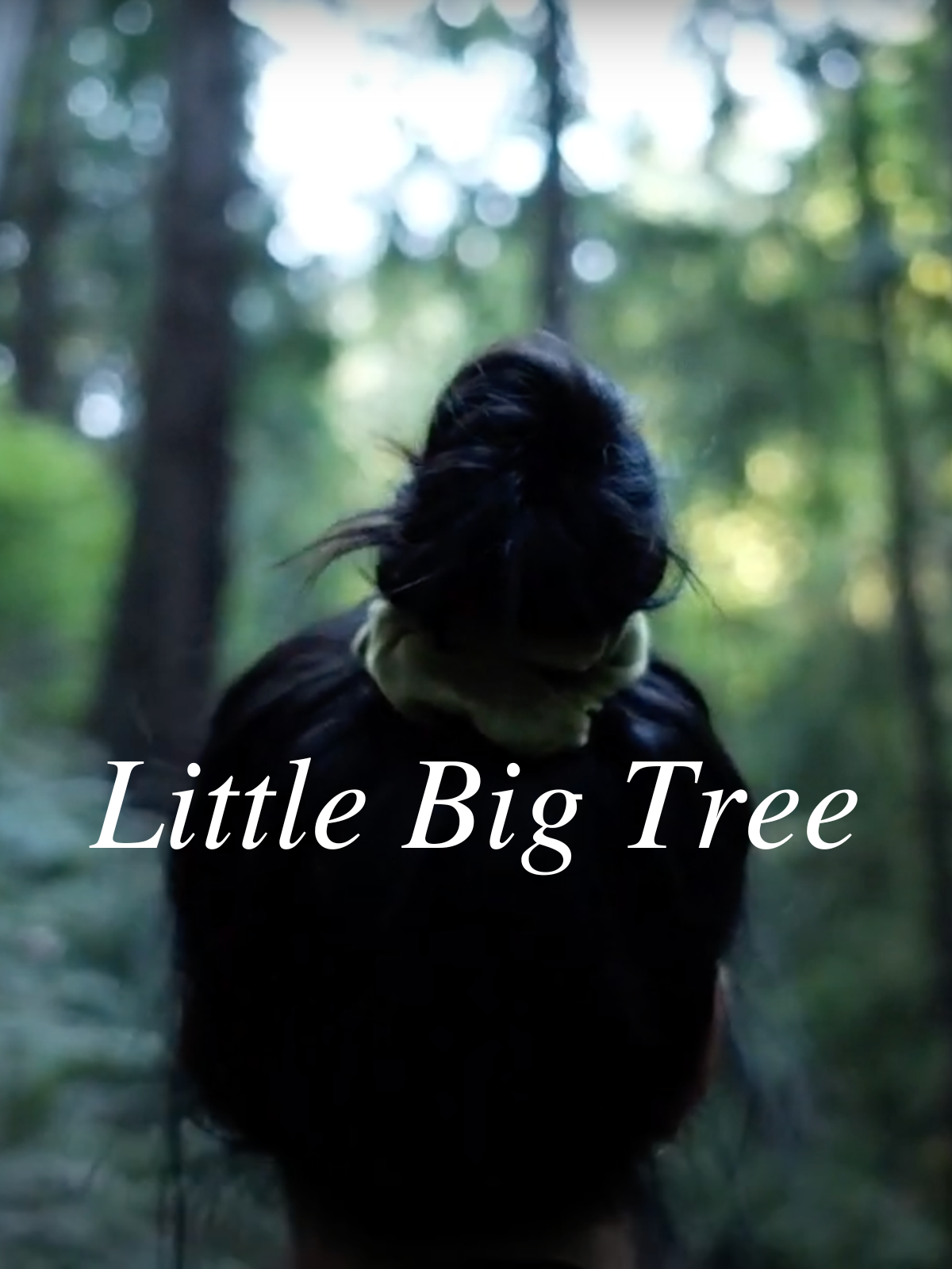 Prime Video: Little Big Tree