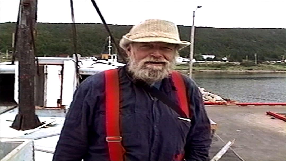 Watch Random Lunacy | Prime Video