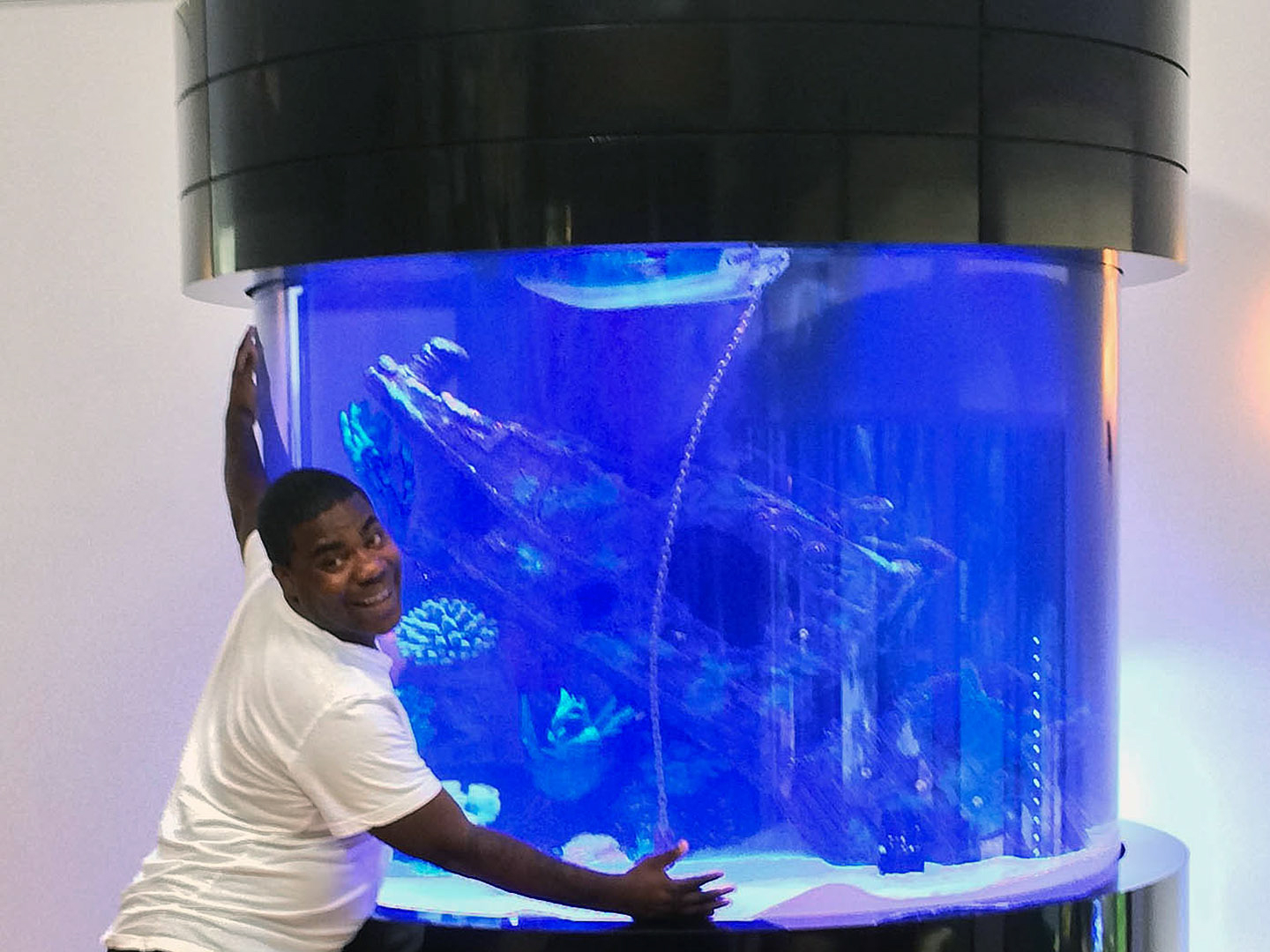 Tanked Octopus Tank