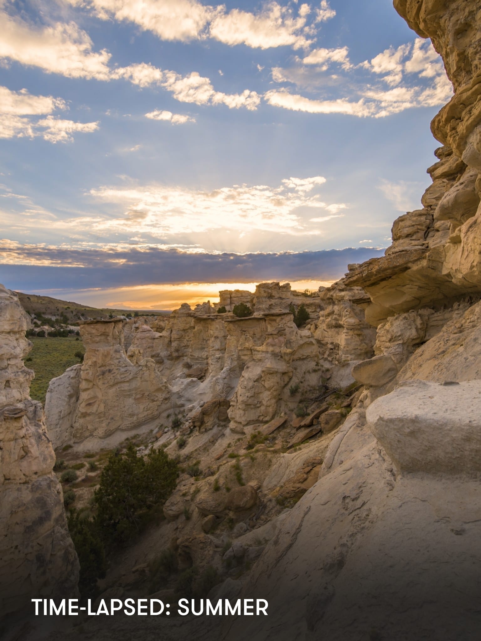 Prime Video: Time-Lapsed: Summer