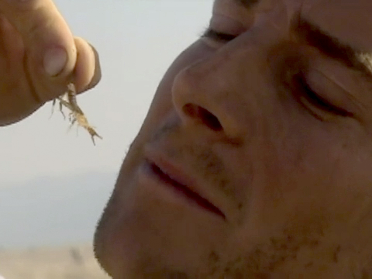 Prime Video: Man vs. Wild - Season 1