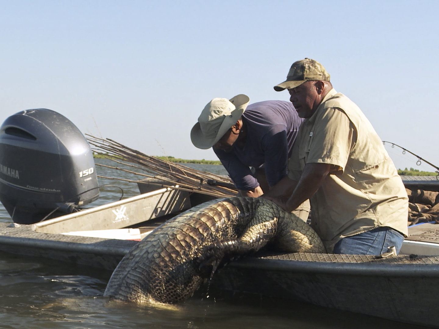 Prime Video: Swamp People - Season 11