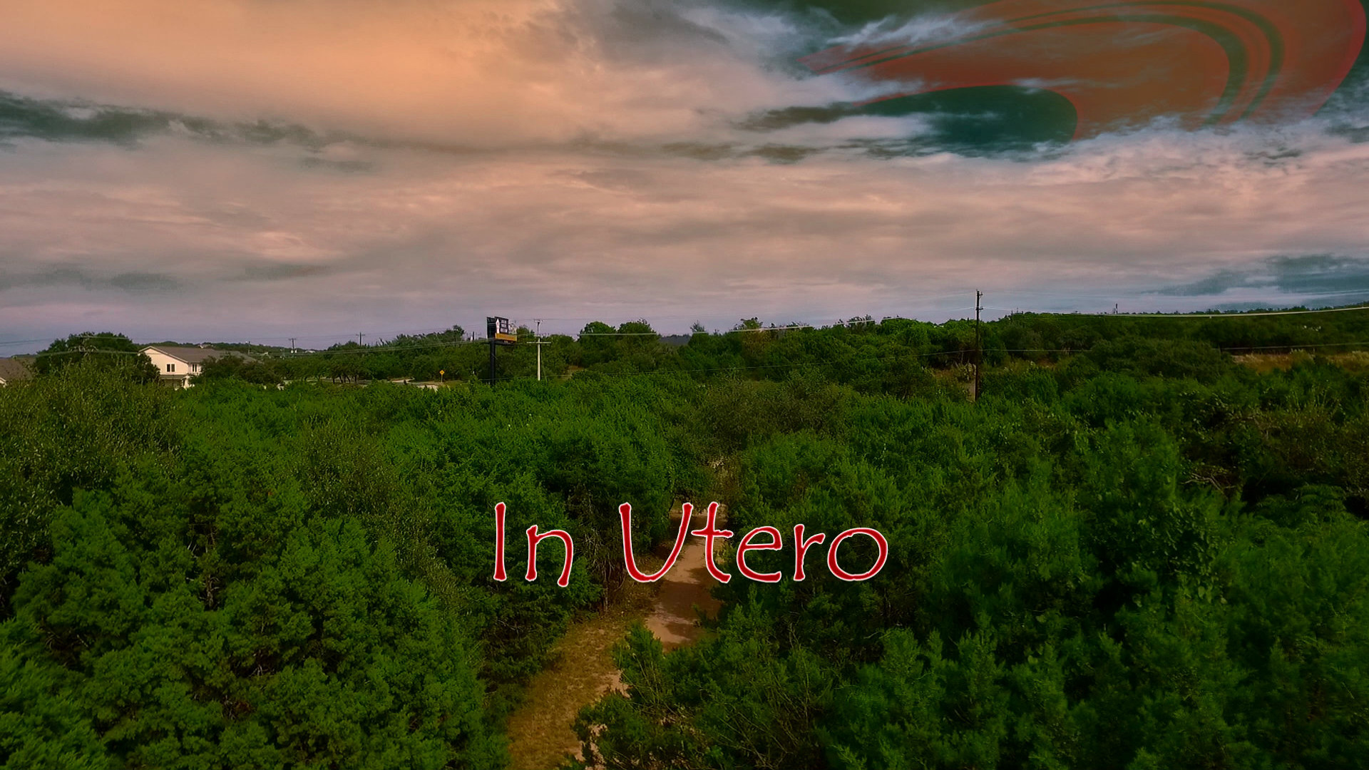 Watch In Utero | Prime Video