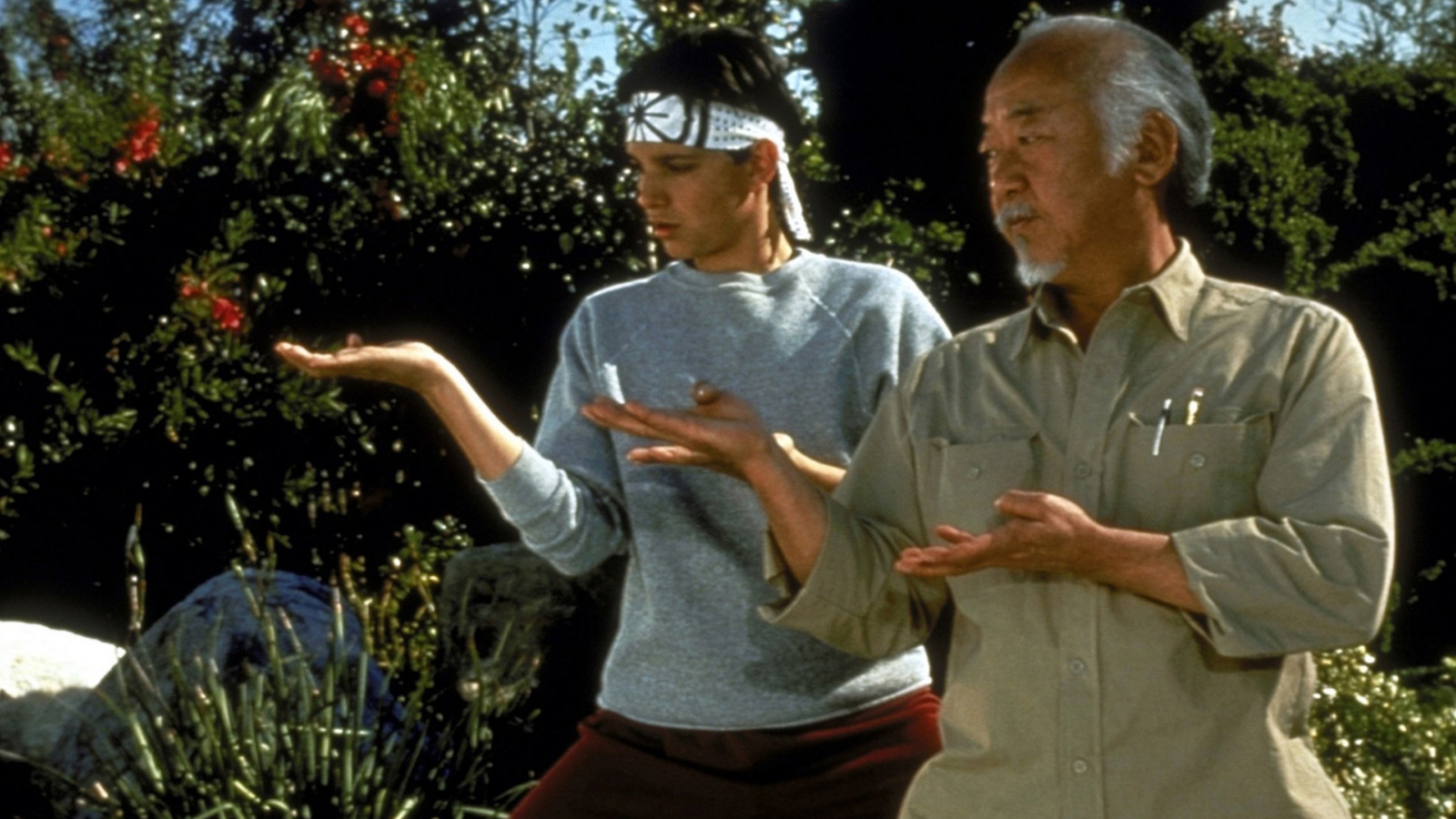 Prime Video: The Karate Kid