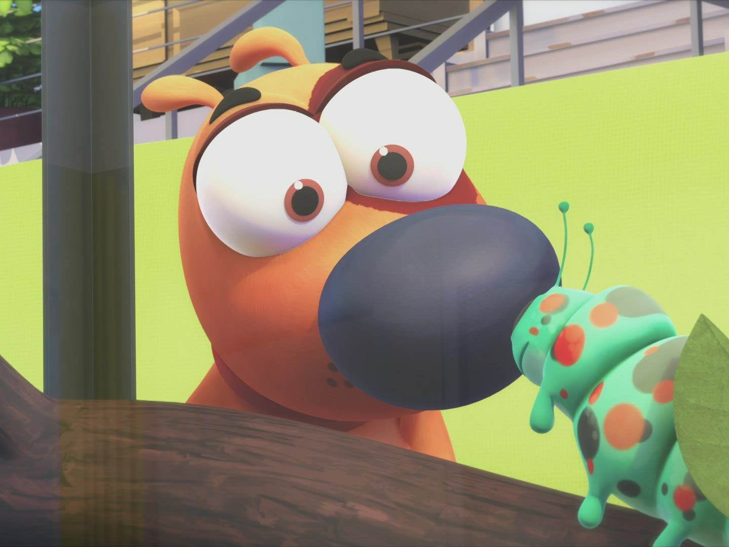 Prime Video: Pat the Dog - Season 1