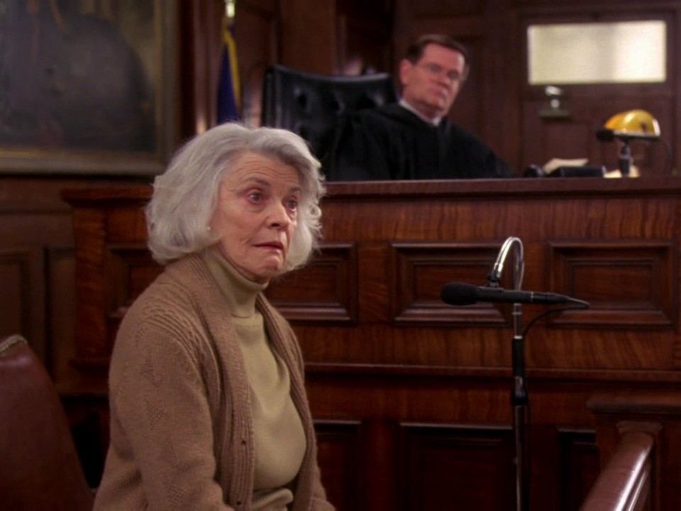 Prime Video: The Guardian Season 1