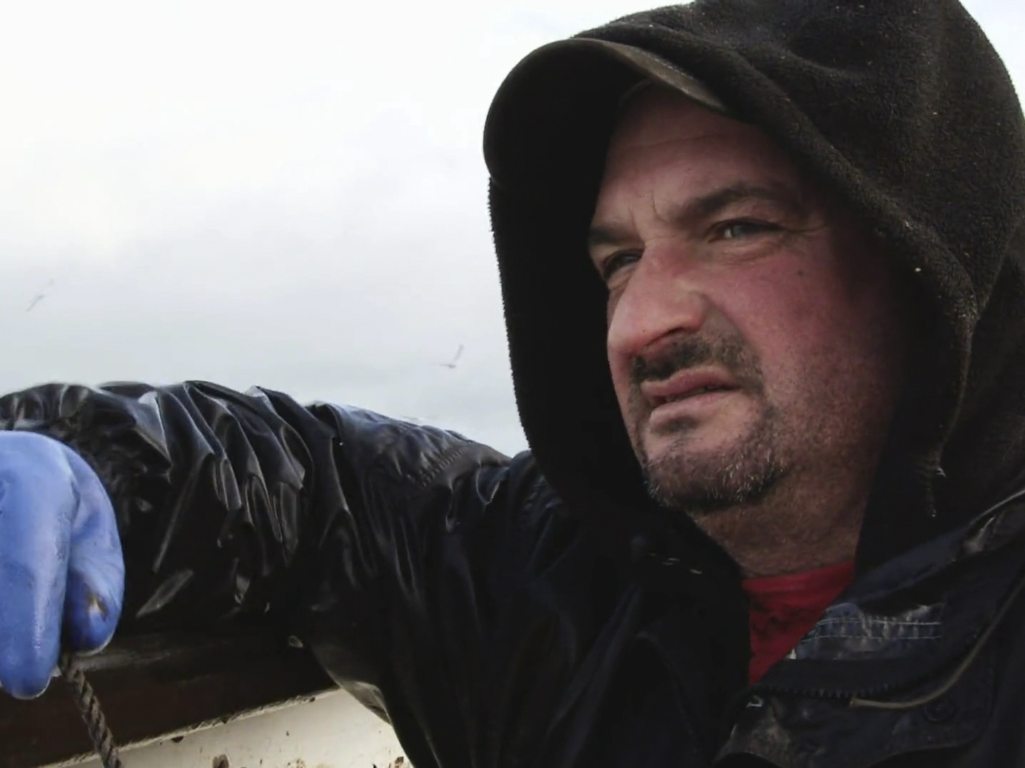 Prime Video: Deadliest Catch - Season 6