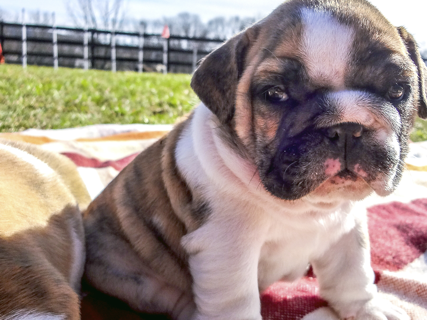 Prime Video: Too Cute! - Season 5