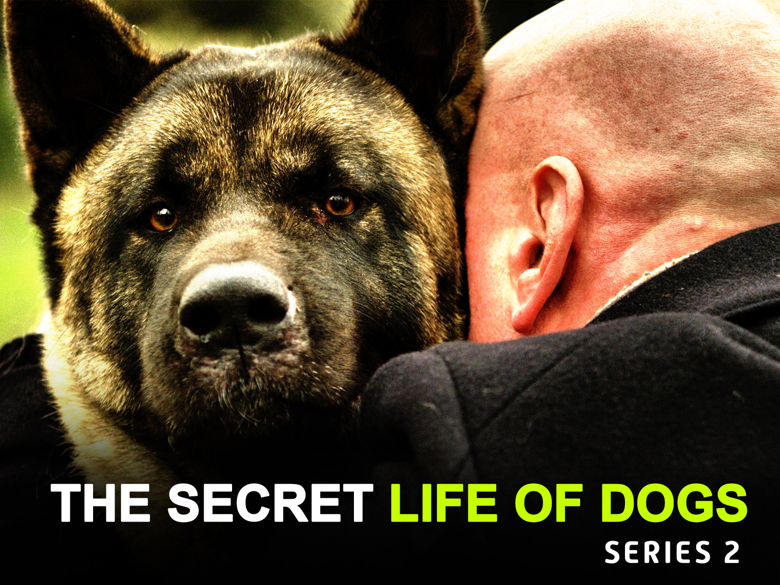 Prime Video: Secret Lives of Dogs: Series 2