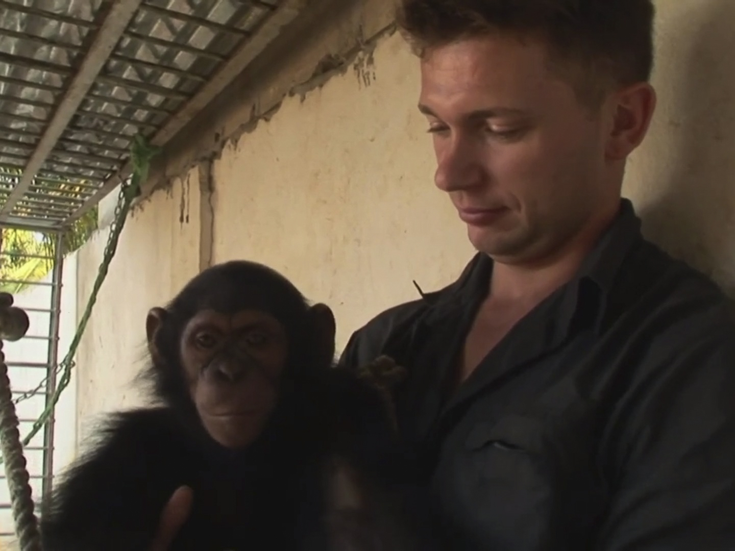 Prime Video: Escape to Chimp Eden - Season 2