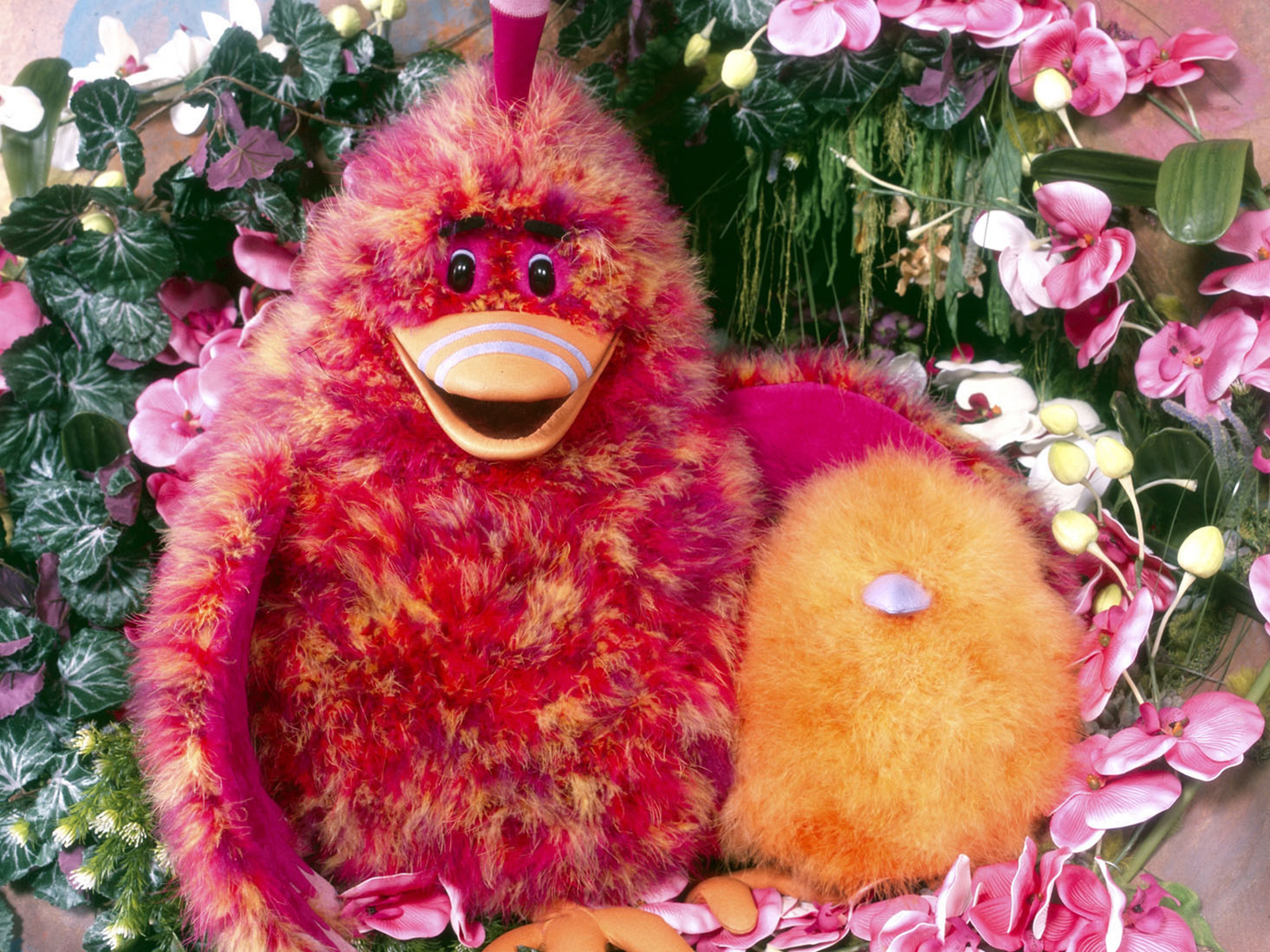 Prime Video: Fimbles