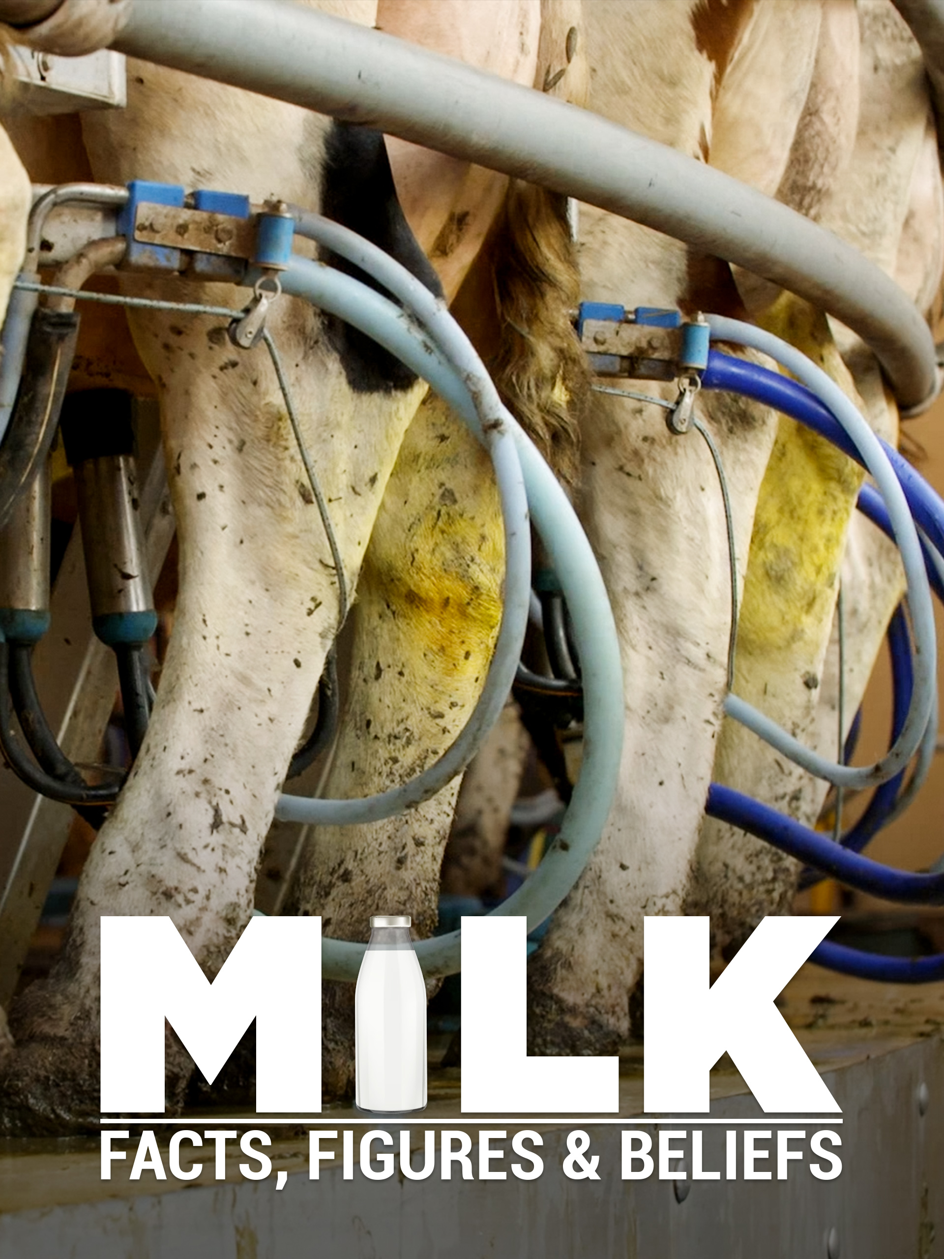 Prime Video: Milk - Facts, Figures & Beliefs