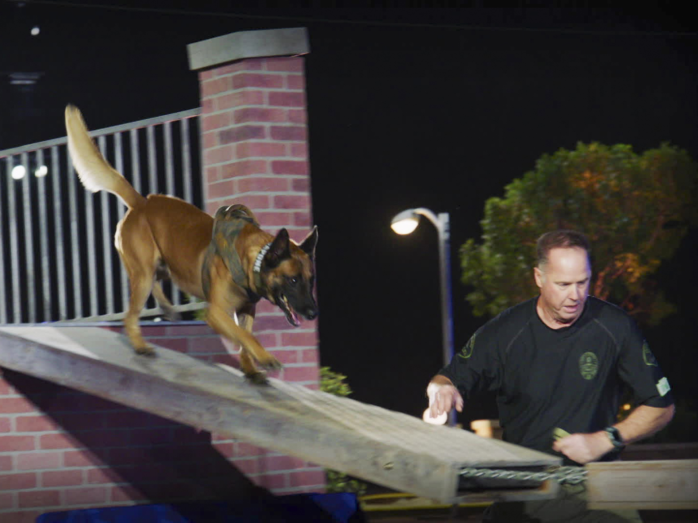 Prime Video: America's Top Dog - Season 3