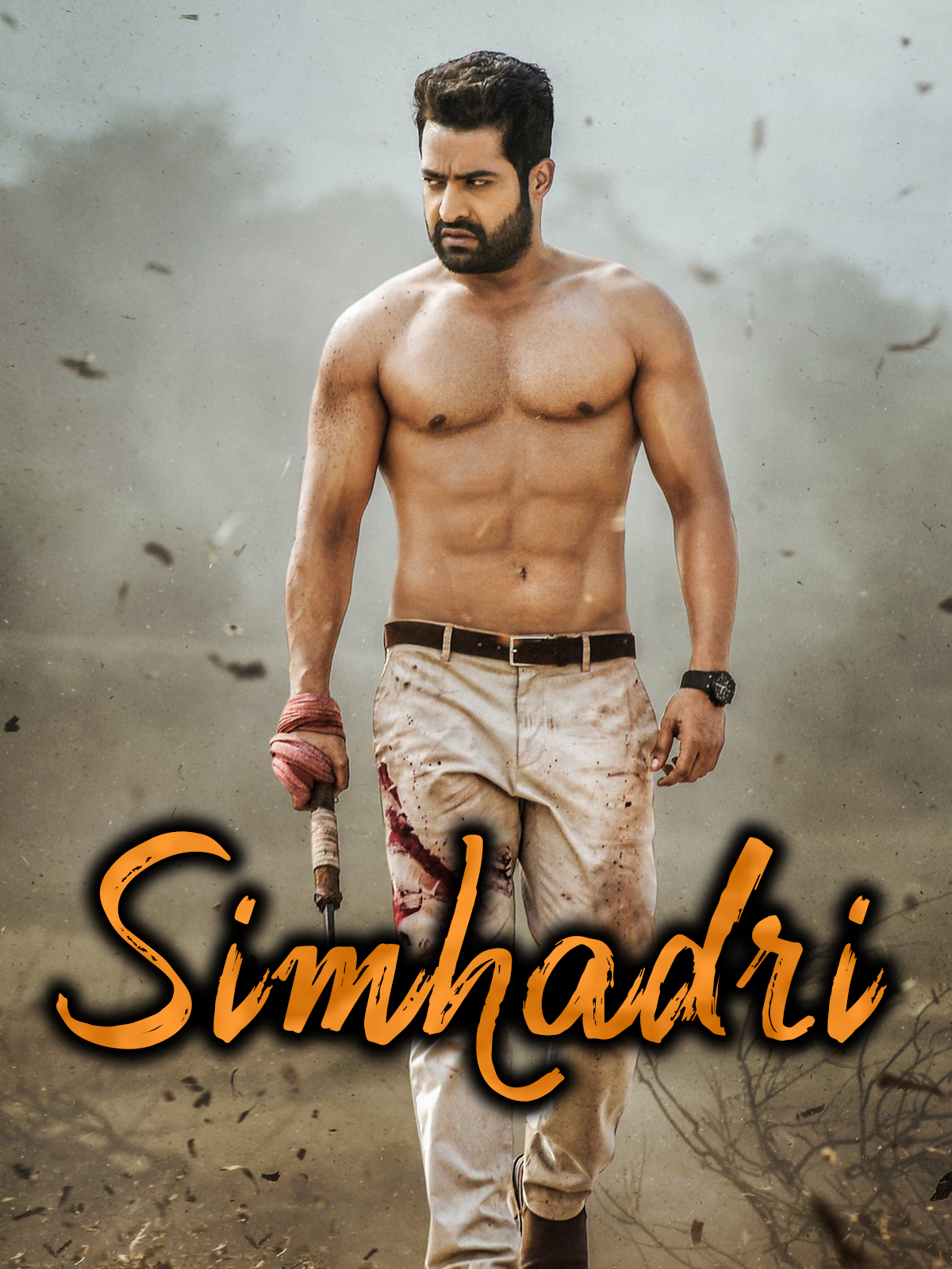 Prime Video: Simhadri