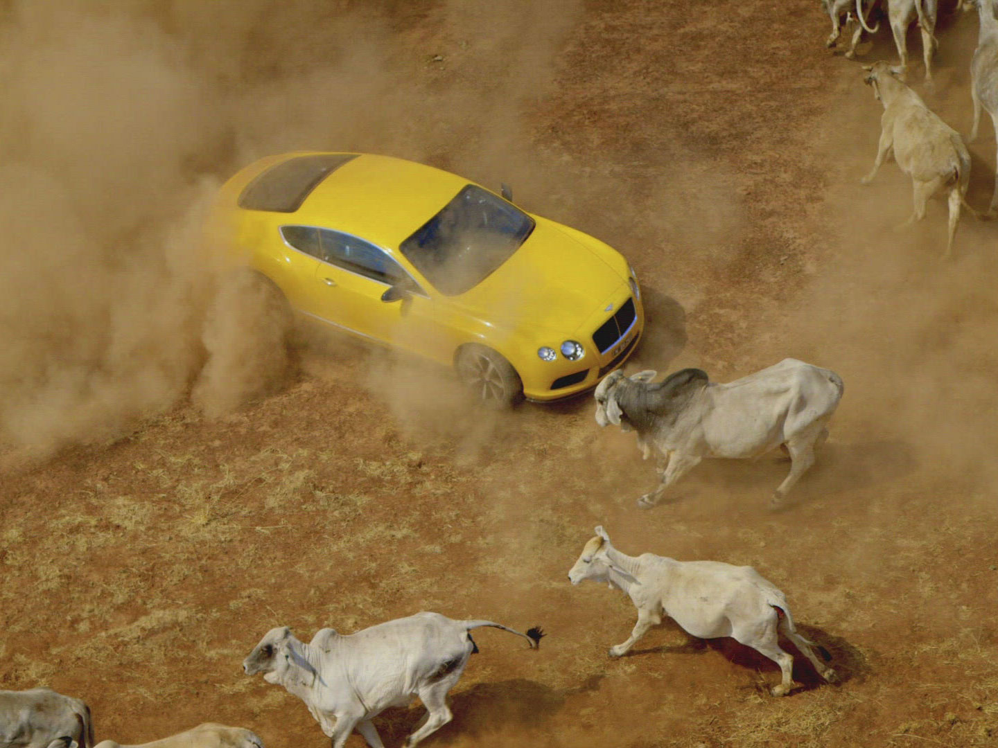 Prime Video: Top Gear - Season 22